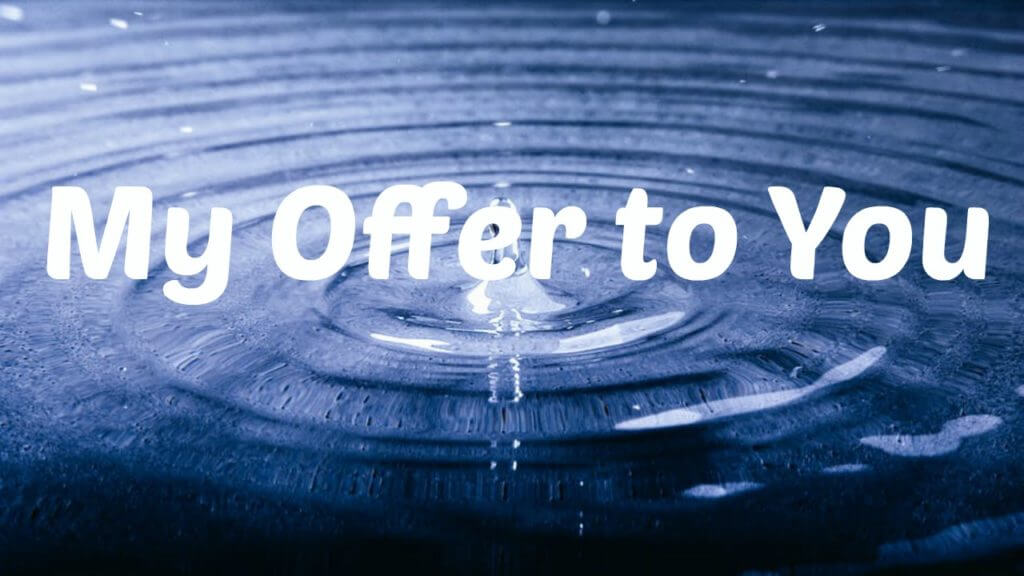 my offer to you - The Village Marketer